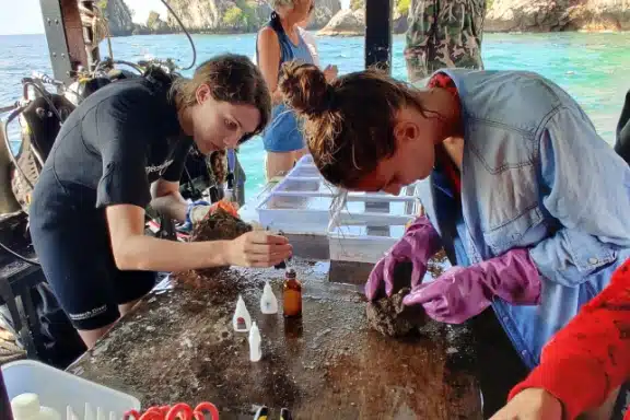 Thailand Itinerary - Nicky Dukes - GIVE | Travel with Purpose