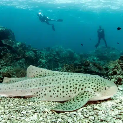 Thailand Itinerary - Nicky Dukes - GIVE | Travel with Purpose